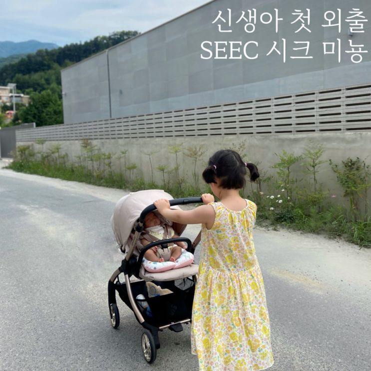 신생아시기 시크 미뇽 샴페인 절충형 유모차로 안전하게 외출 네이버 블로그