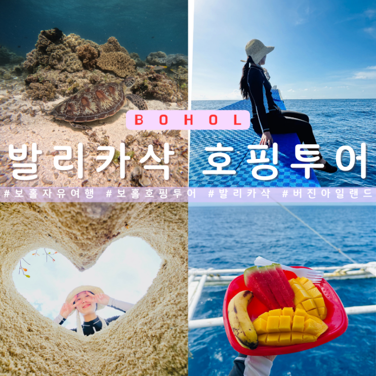필리핀 보홀 자유여행 발리카삭 프리미엄 호핑투어 한인업체 돌고래 스노쿨링 네이버 블로그