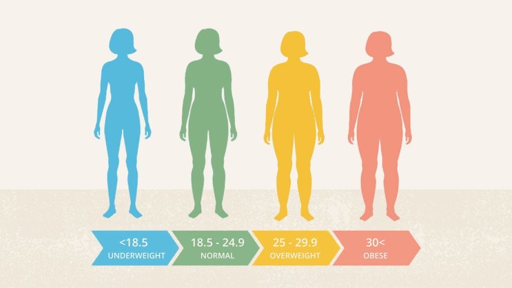 체질량 구하는 방법 bmi 19 수치는 정상인가요? : 네이버 블로그