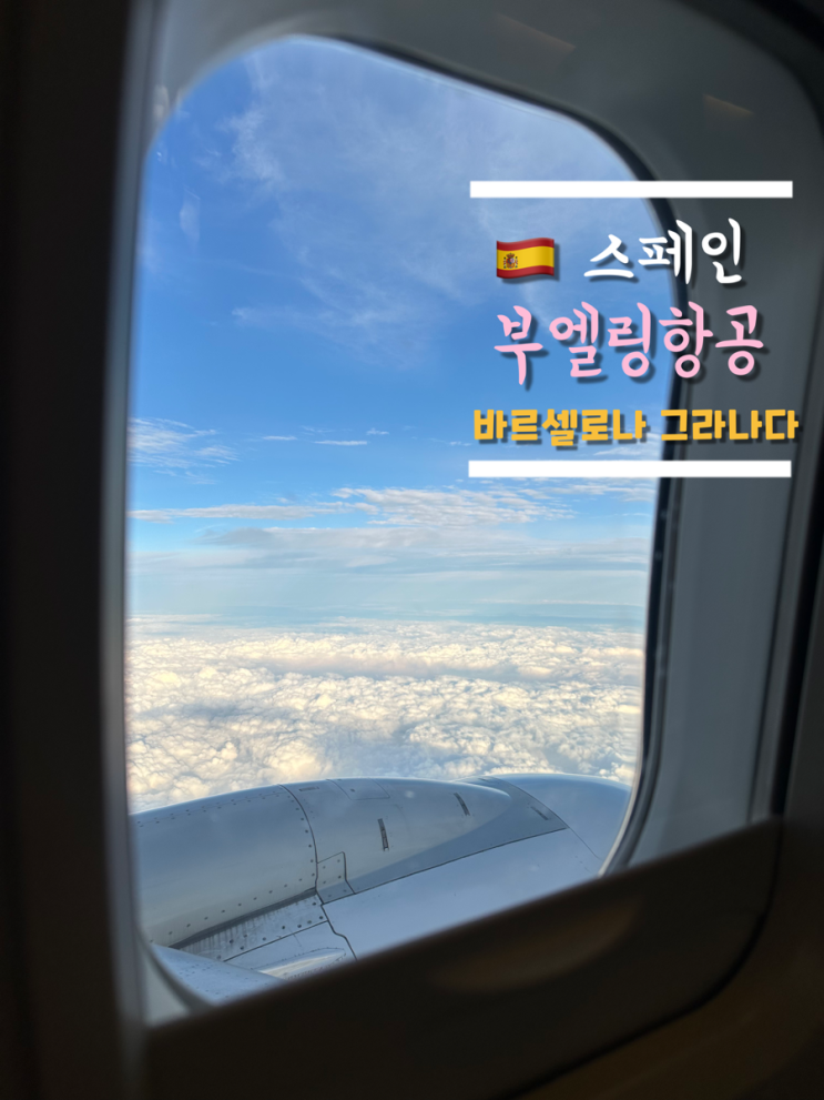 🇪🇸 바르셀로나 그라나다 부엘링 항공 예약 방법 회원가입 시간 수하물 규정 좌석지정 결제방법 네이버 블로그
