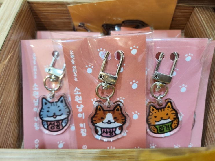 명지대 소품샵 명지대 고냥c 후기 명지대 굿즈샵 인테리어 소품샵 서대문구 소품샵 추천 홍은동 소품샵 고양이디자인