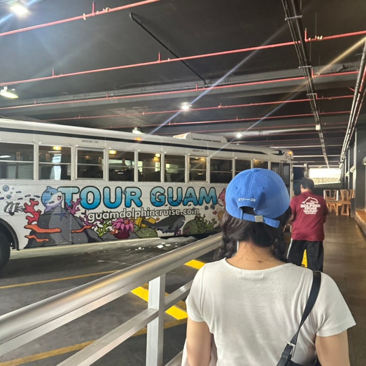 [괌여행]돌핀크루즈 괌 돌고래투어는 파란크루즈 추천 &예약 준비물 파란크루즈에서 후회없는 액티비티!! : 네이버 블로그