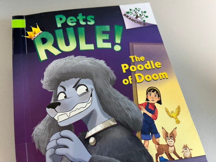 아쉬움 가득한 바이올린 레슨과 AR 3점대 얼리챕터북 Pets Rule 추천 : 네이버 블로그