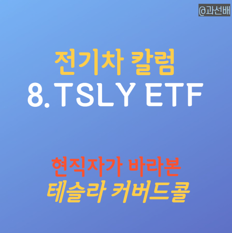 TSLY 주가 전망과 배당 정보 : 네이버 블로그