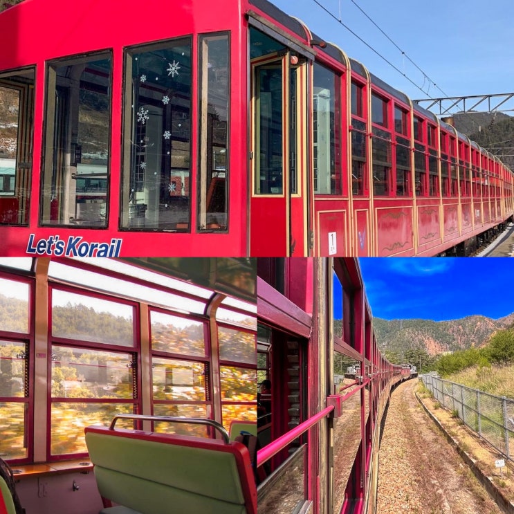 국내 기차여행 코레일 투어 백두대간협곡열차 V-train 분천역 노선 좌석 가격 : 네이버 블로그