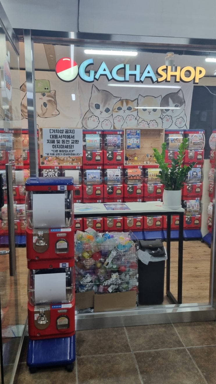 여전히 인기있는 원피스 일본 만화 캐릭터 안산 가차샵 GACHA shop 캡슐 내돈내산 : 네이버 블로그