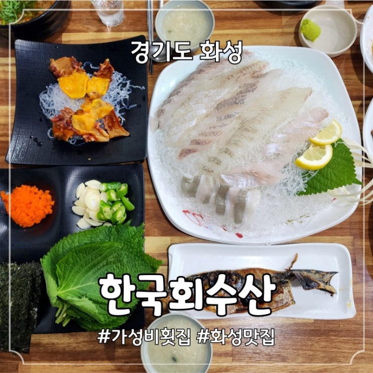 경기도 수원대 인근 맛집 한국회수산 솔직후기내돈내산 광어우럭중 네이버 블로그