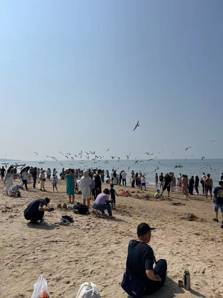 [2024년 6월 8일] 나샹하이(那香海), 브루비스 해변(布鲁维斯海滩) : 네이버 블로그