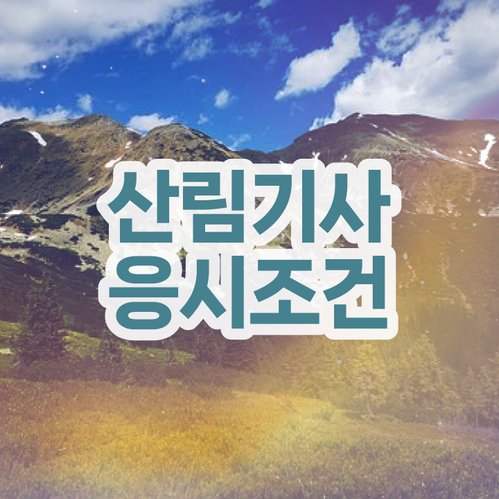 산림기사 필답형 산림기사 취득자격 온라인으로 쉽고 빠르게 준비한 전략 네이버 블로그