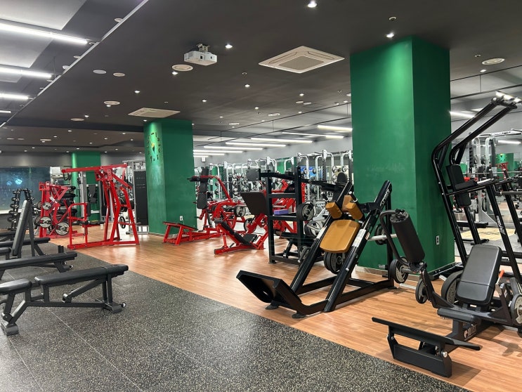 구로동 헬스 오전 오후 운동의 장 단점 출입 횟수 제한 없는 헬스장 추천 네이버 블로그