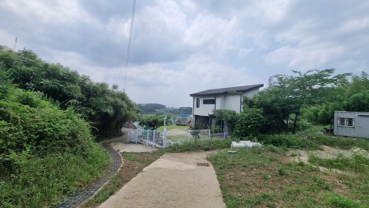 동해면 나대지 393p.당60만원 : 네이버 블로그