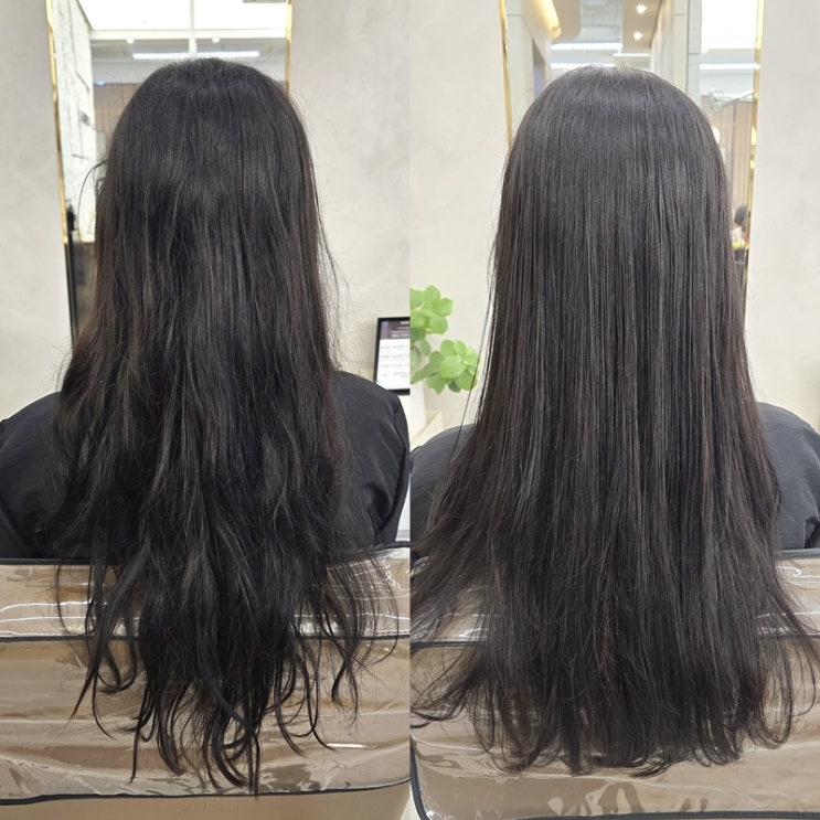광교중앙역미용실 이가자헤어비스 아비뉴프랑점 헤어클리닉 후기 네이버 블로그
