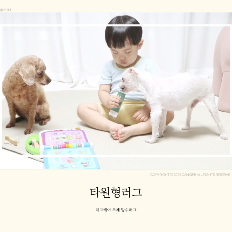 타원형러그 애개육아 먼지없는 체고케어 루체 방수러그 네이버 블로그