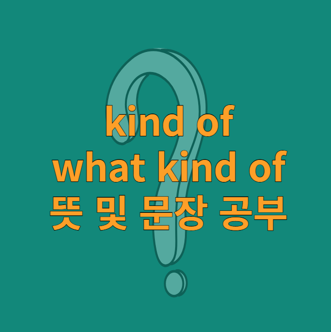 kind of, what kind of 뜻 및 문장 공부 : 네이버 블로그