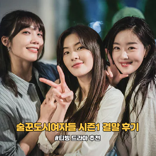 술꾼도시여자들 시즌1 출연진 등장인물 정보 결말 리뷰 네이버 블로그