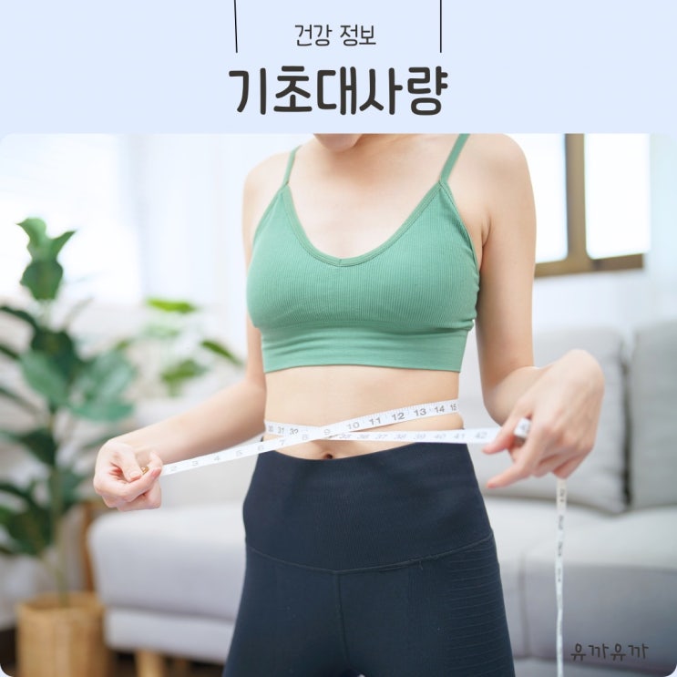 성인 남자 여자 기초대사량 평균 뜻 계산기 기초대사량 높이는방법 네이버 블로그
