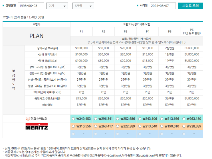 네덜란드 인턴 01 해외장기체류보험 들기 보험사 보장비교 네이버 블로그