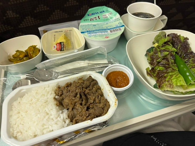 싱가포르 대한항공(KE647, KE646)밤비행기 52AB좌석 탑승후기 및 기내식 리뷰 (창이공항 터미널4) : 네이버 블로그