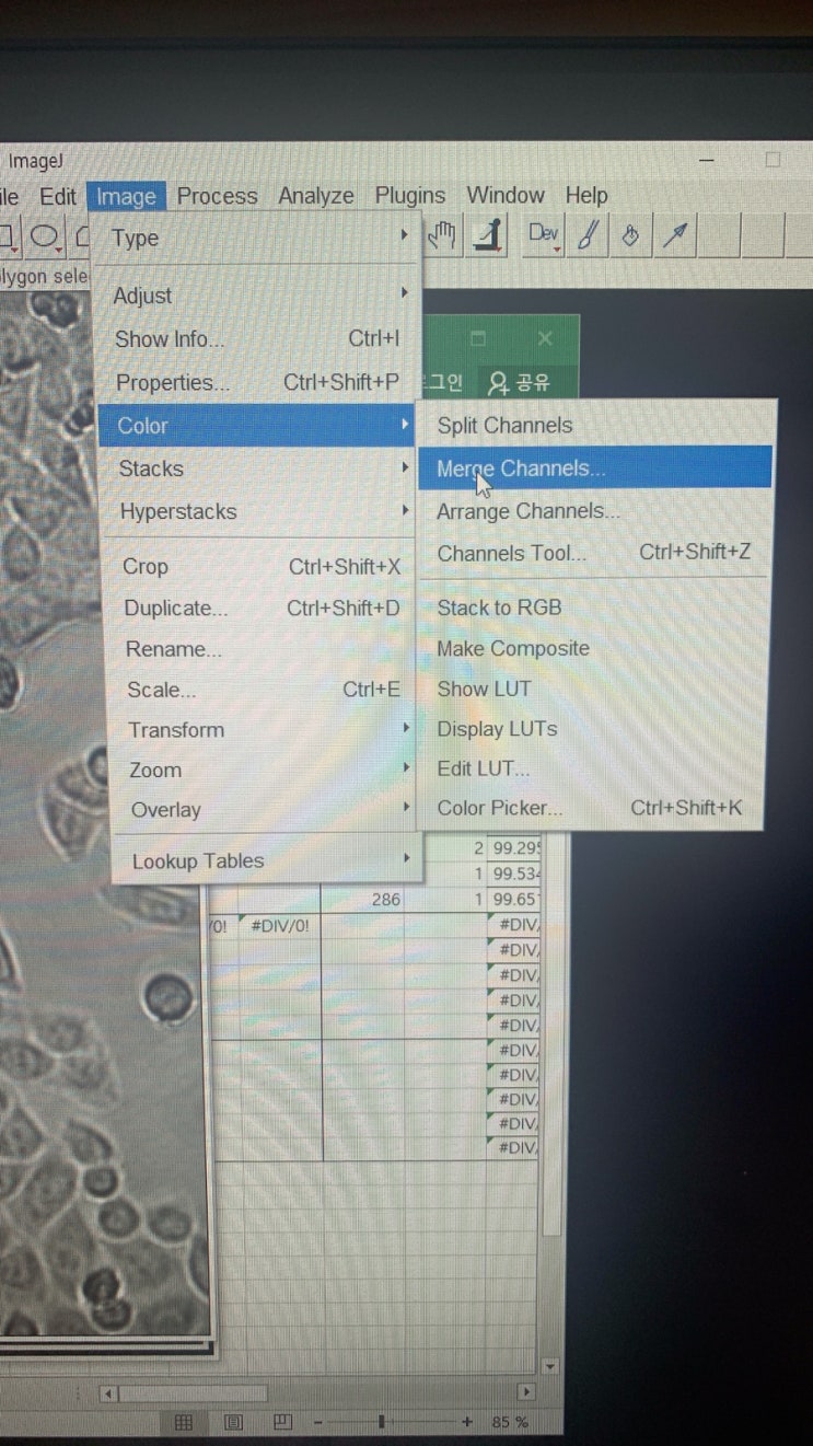 맥북으로 imageJ cell counting 1탄 - merge channels 이용해서 세포 수 세는 법 : 네이버 블로그