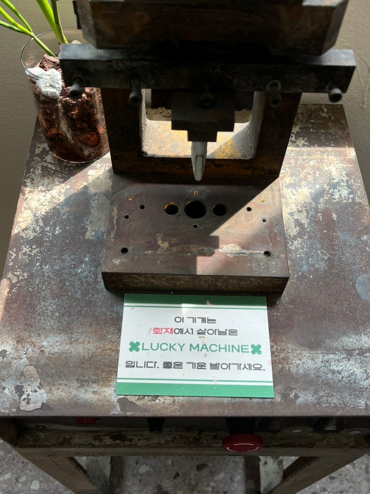 이 일기는 갤러리에서 살아남은 lucky log입니다 좋은 기운 받아가세요 : 네이버 블로그