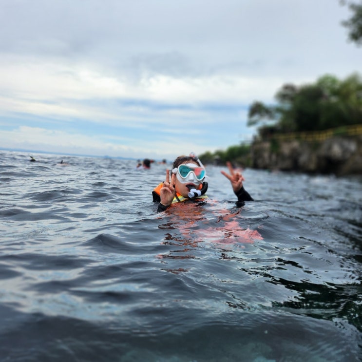 보홀 셀프 오전나팔링투어 napaling reef 정어리천국 다이빙 x 초보ver. : 네이버 블로그
