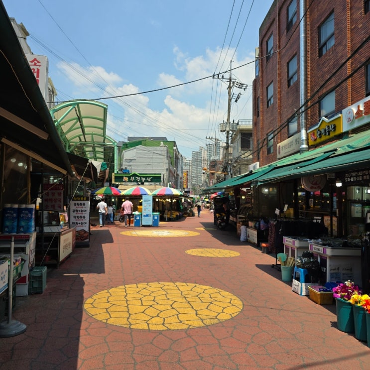 내 생일 : 네이버 블로그