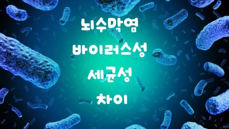뇌수막염 바이러스성 세균성 차이 위험한 이유 증상 치료 네이버 블로그