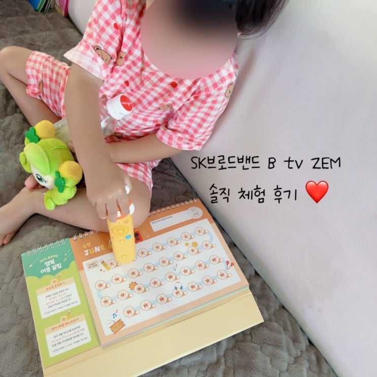 SK브로드밴드 B tv ZEM 솔직 체험 후기📺 : 네이버 블로그