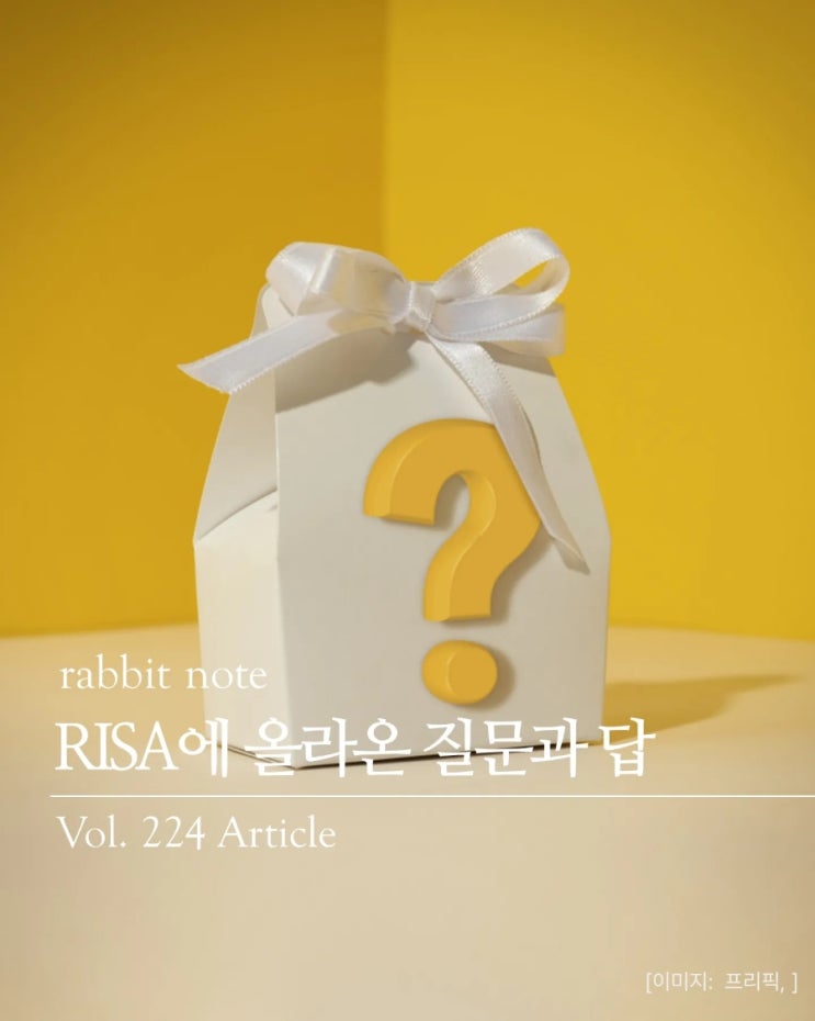 RISA에 올라온 질문들 : 네이버 블로그