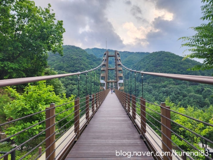 증평여행 좌구산 자연휴양림 천문대 산책하고 명상구름다리건너면서 산책하기좋은 청주 근교 가볼만한곳 네이버 블로그