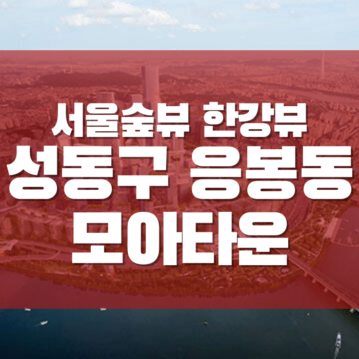 사업성좋은 모아타운 제2의 서울숲리버뷰자이 응봉동 성동구빌라투자안내 네이버 블로그