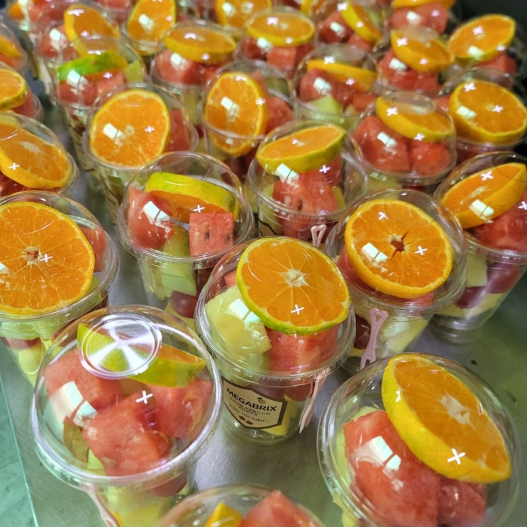 대전컵과일,대전컵과일답례품,대전과일도시락,대전과일도시락답례품,대전컵과일무료배송,대전컵과일도시락무료배송, 메가브릭스과일창고 ...