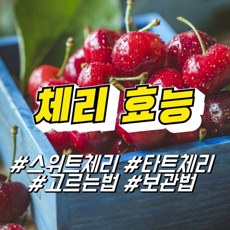체리 효능 타트체리 효능 및 고르는법 보관법 네이버 블로그