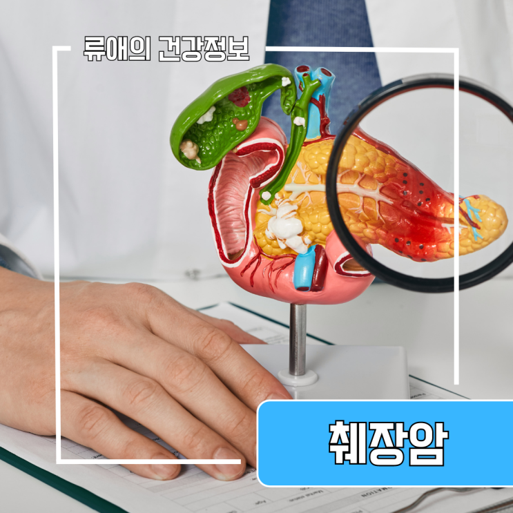 췌장암 초기증상 등 허리 통증 원인 관리 팁 췌장암 말기증상 네이버 블로그