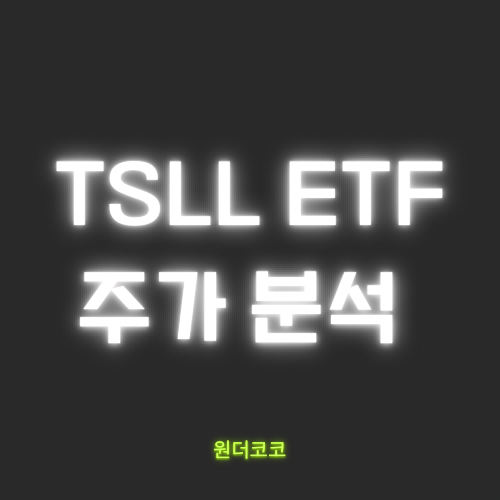 TSLL 주가(테슬라 2배 레버리지 ETF의 모든 것) : 네이버 블로그