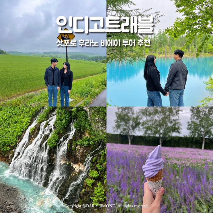 삿포로 후라노 비에이 버스투어 7~8월 여름 삿포로 여행 추천 네이버 블로그