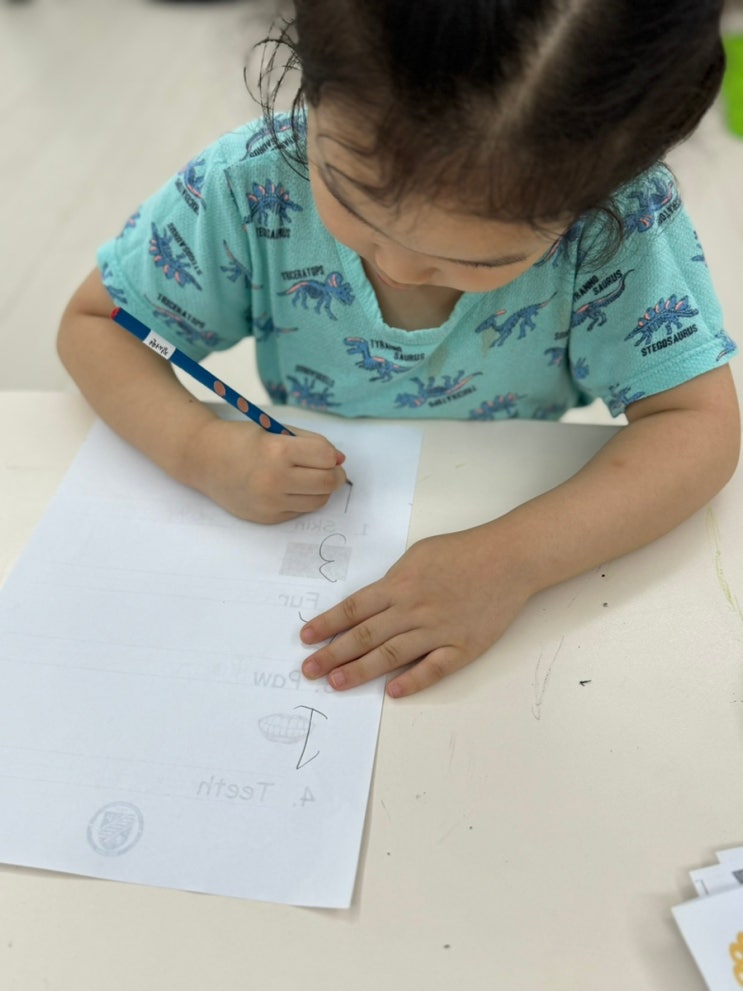 폴리 ecp6 단어 vocabulary test 공부 :)♥ : 네이버 블로그