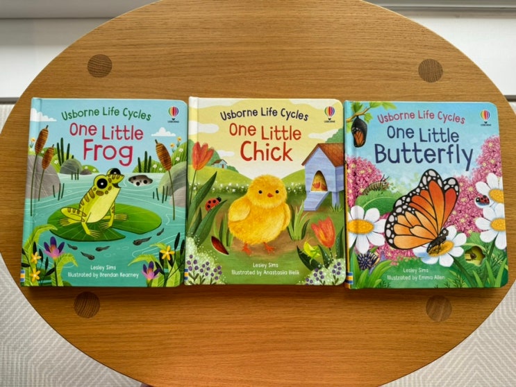 영어그림책 어스본 라이프사이클 시리즈 Usborne Life Cycles - One little chick, One little ...