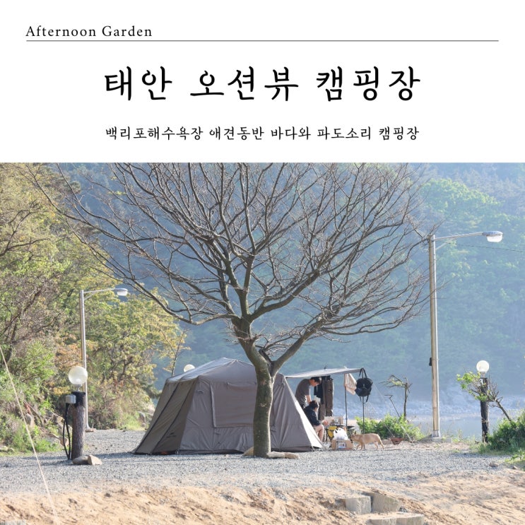 태안 백리포 오션뷰 프라이빗 캠핑장 네이버 블로그