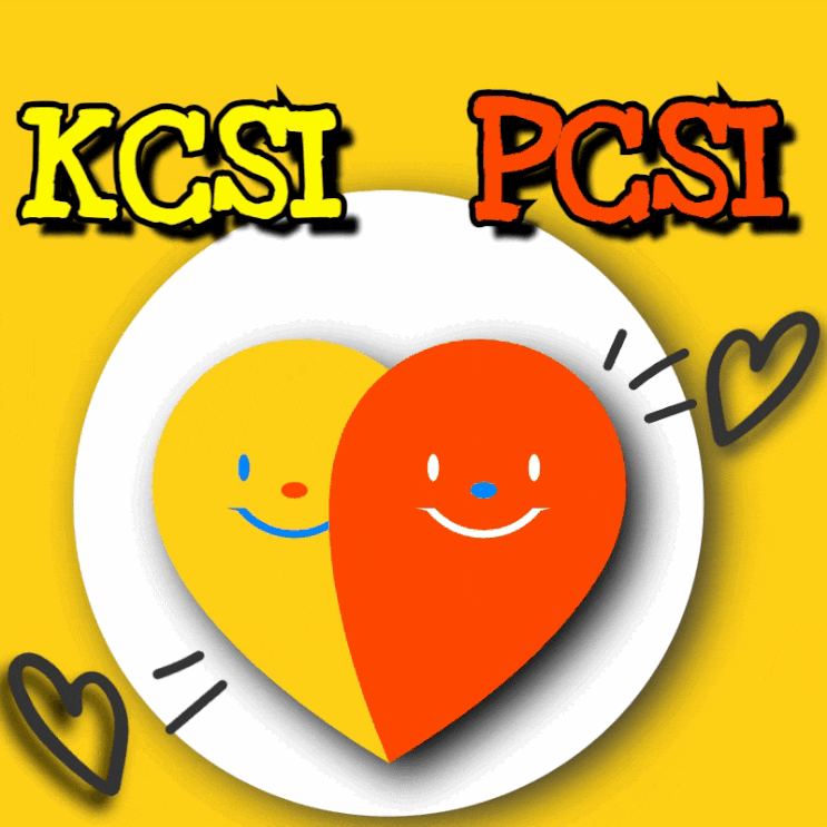 KCSI, PCSI 뜻 차이 : 네이버 블로그