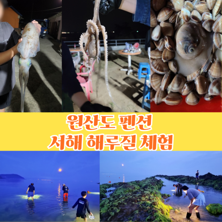 원산도 해수욕장 원산도 펜션 서해 해루질 체험 바다낚시 펜션 추천 네이버 블로그