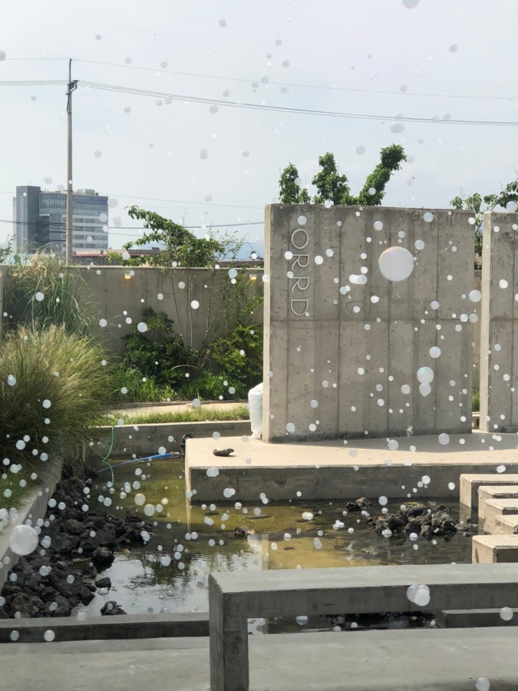 부산애견동반카페 "오르디" : 네이버 블로그