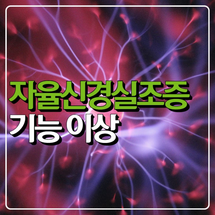 자율신경실조증 증상과 치료 자율신경계 기능 이상 문제 네이버 블로그