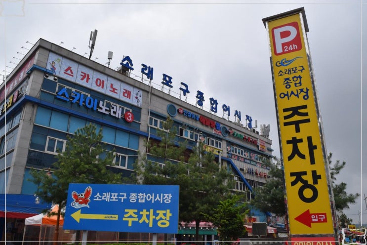 소래포구 해산물 배터지게 먹고 왔네요 해남수산 소래포구종합어시장 네이버 블로그