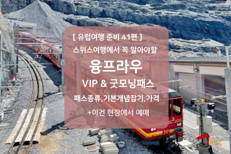 스위스여행 융프라우 Vip패스 굿모닝패스 날씨 웹캠 쿠폰 구매처 네이버 블로그