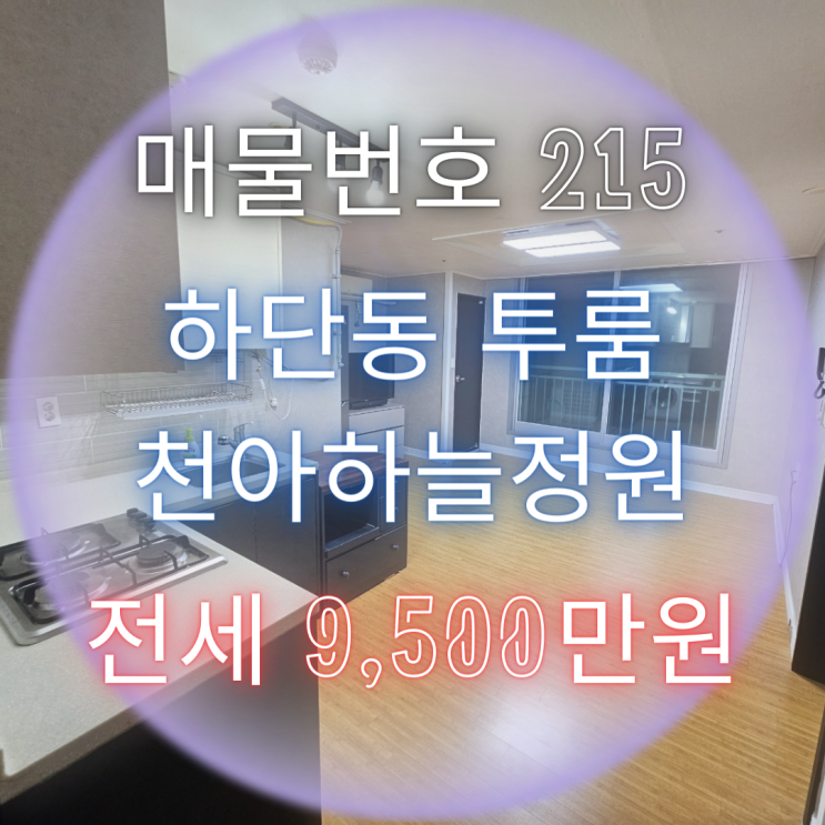 하단동 초역세권 귀한 투룸 천아하늘정원 전세 9500만 원 소개해 드립니다 네이버 블로그