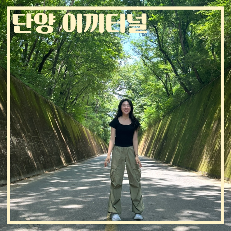 단양 이끼터널 충북 여행 가볼만한곳 주차 방법 네이버 블로그