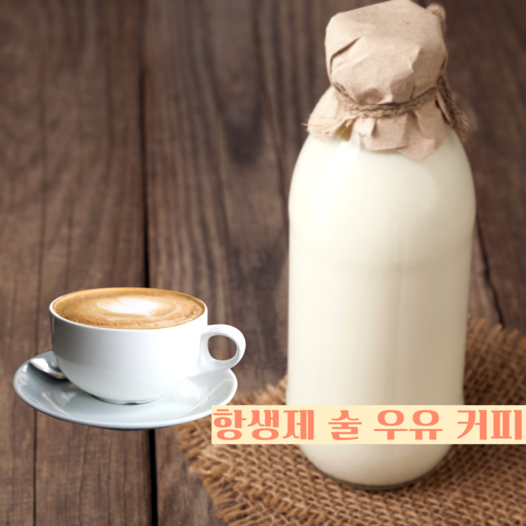 항생제 먹고 술 항생제술 시간 항생제커피 항생제우유 먹는법 네이버 블로그