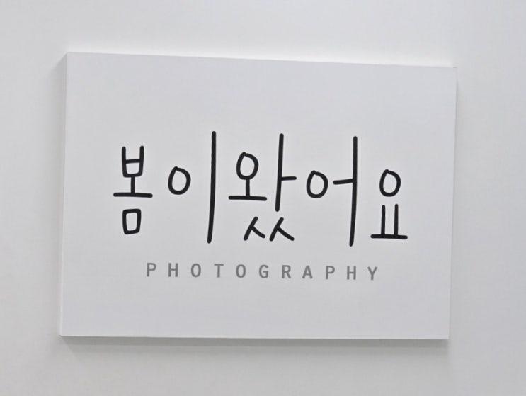 소소한 일상 일산 사진관 돌 사진촬영 봄이왔어요 스튜디오 네이버 블로그