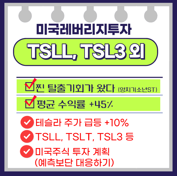 테슬라 레버리지 ETF 투자 TSLL, TSLT, TLS3 외 : 네이버 블로그